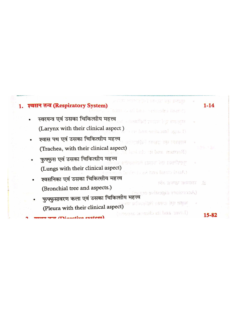 [Bams Library] Respiratory System Anatomy | PDF