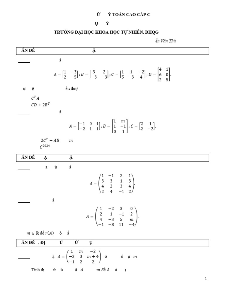 On Thi Giua Ky - Toan C - hk1 2024 2025 | PDF