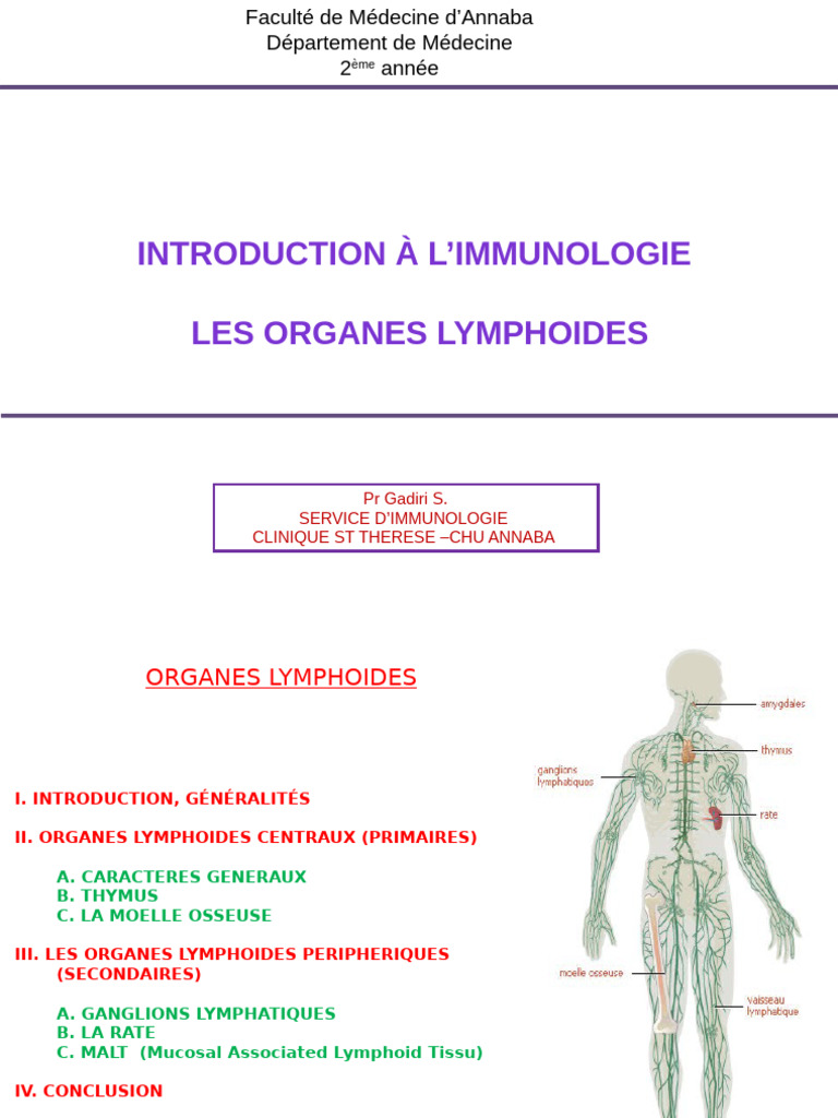 1-Organes Lymphoïdes 2ème Année Medecine | PDF | Système immunitaire ...