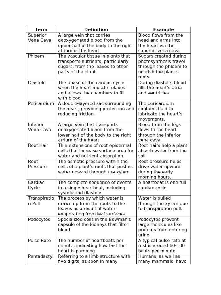 Terminology List and Definitions | PDF | Heart | Atrium (Heart)