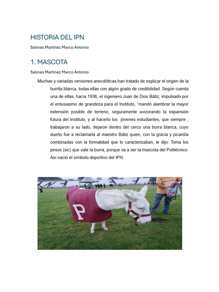 Formato Basico | PDF