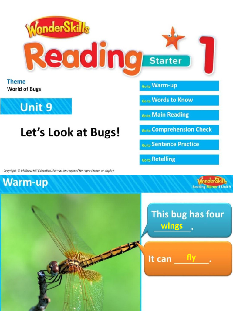 Starter 1 Unit 9 Lets Look at Bugs | PDF