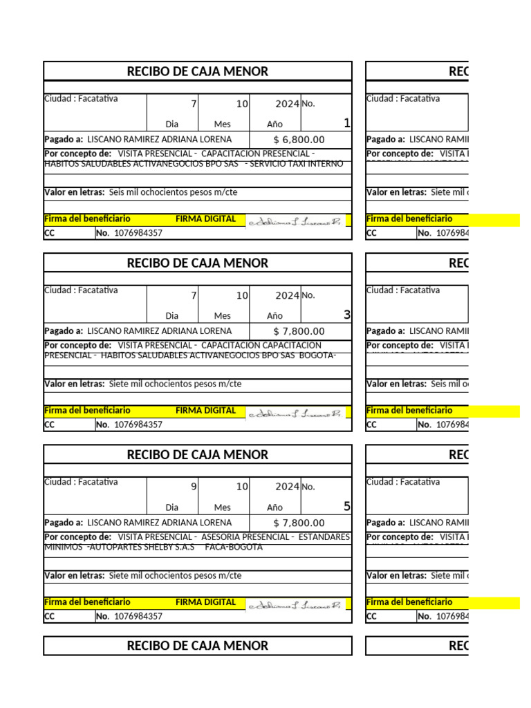 Recibos de Caja Menor Facatativa | PDF