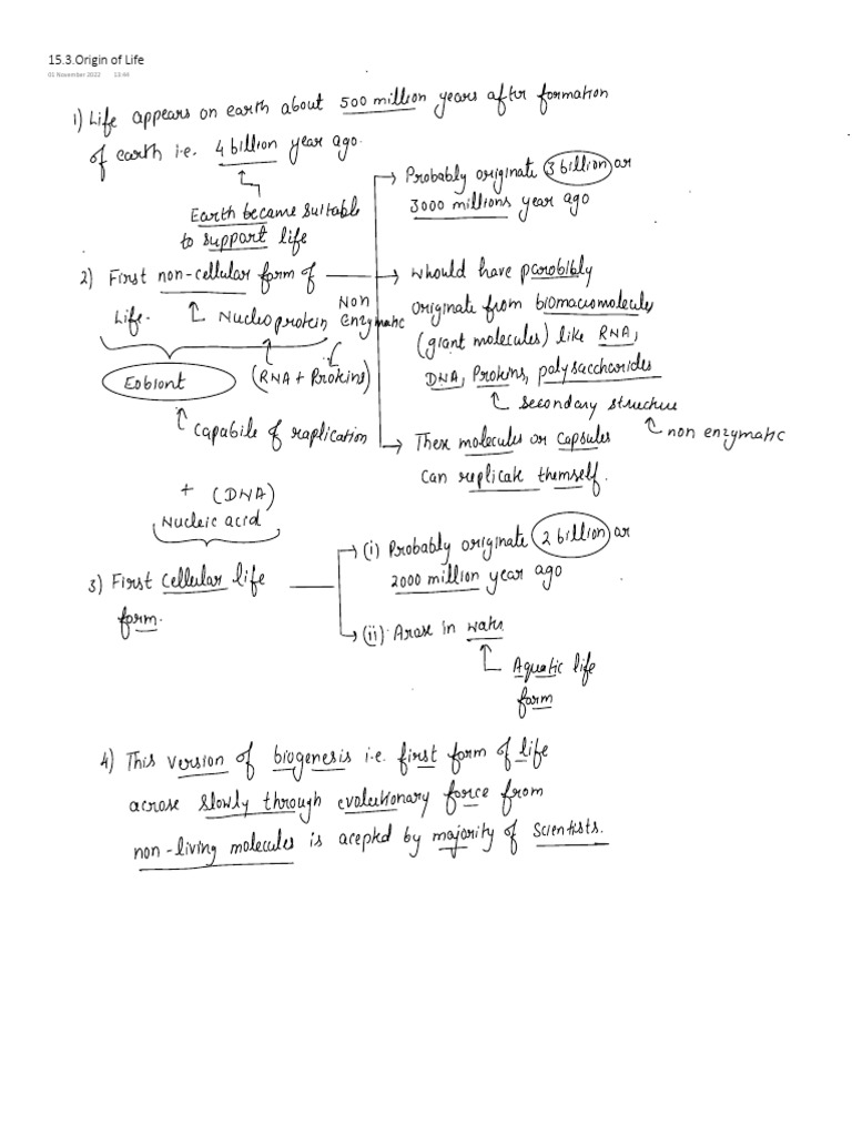 15.3.origin of Life-1 | PDF