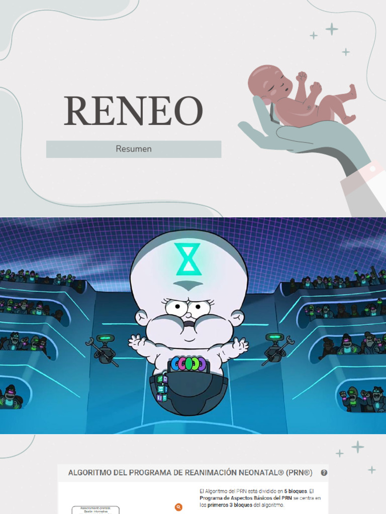 RENEO | PDF