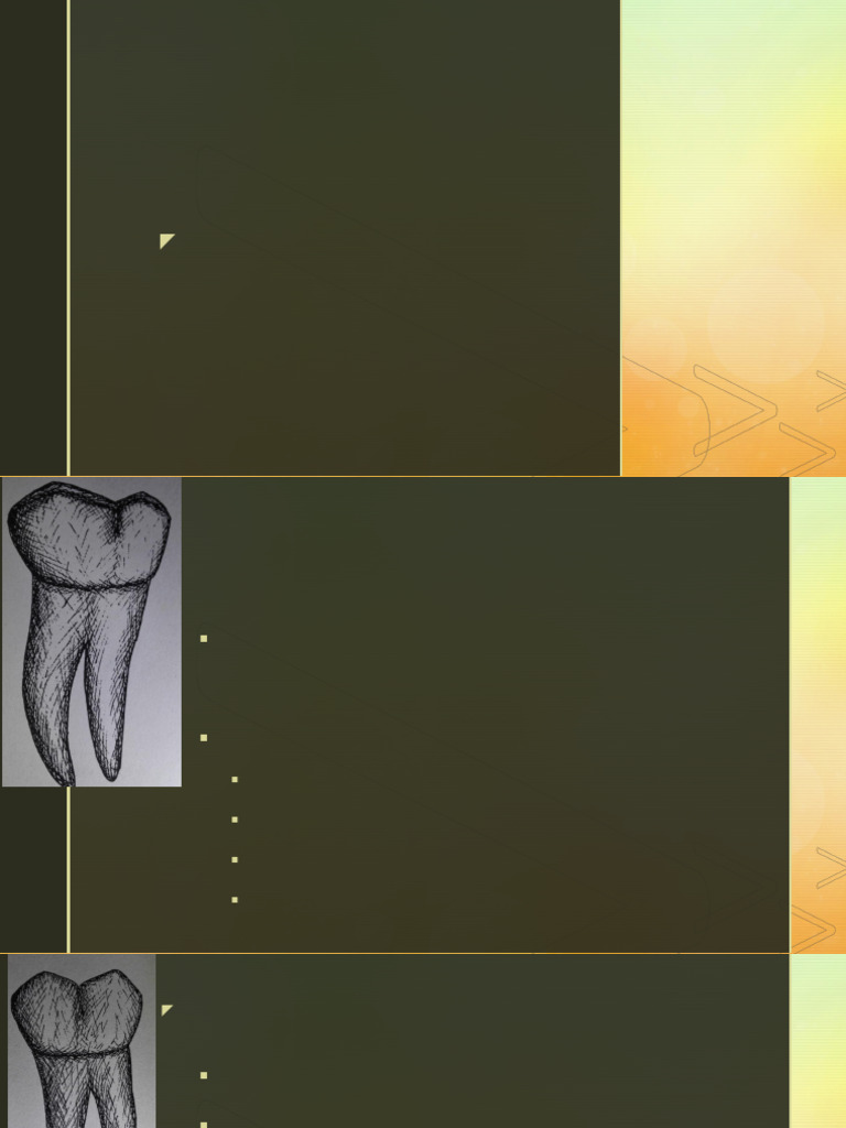 Anatomía del Segundo Molar Mandibular | PDF | Hogar, jardinería y bricolaje