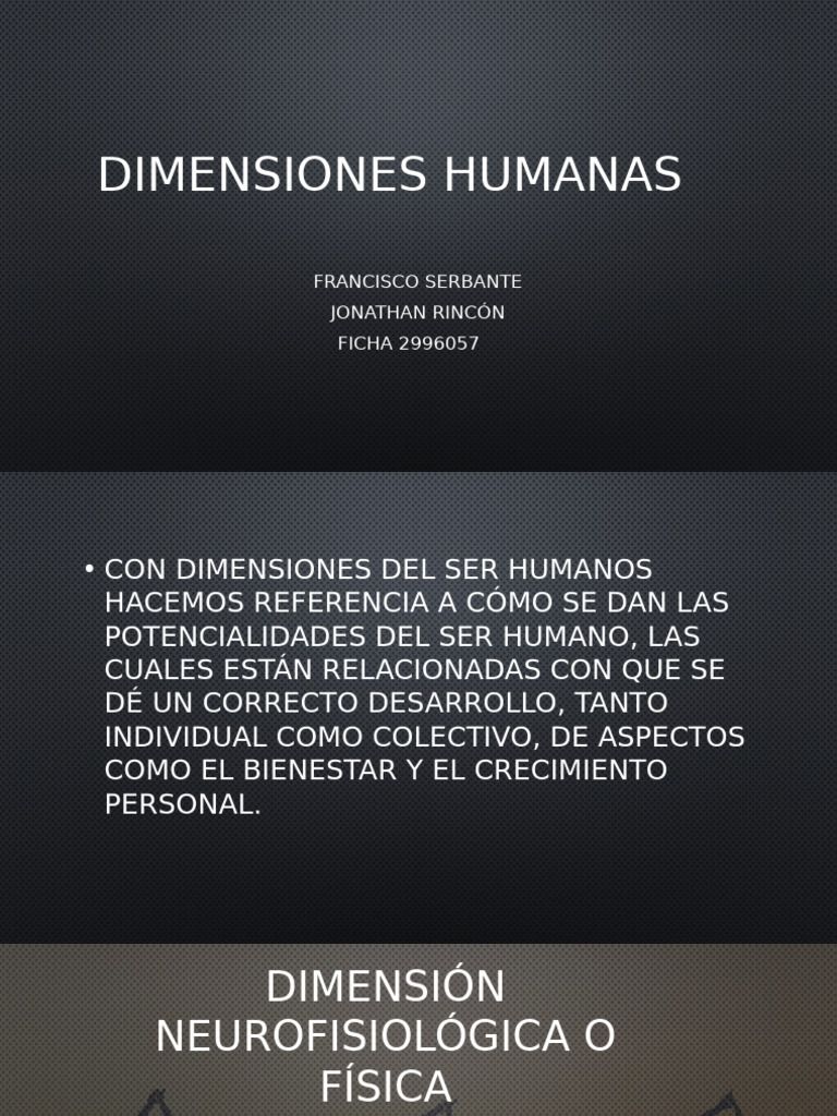 Dimensiones Humanas | PDF