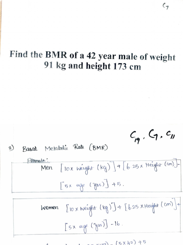 Bmi BMR Calculation | PDF