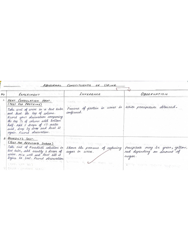 Abnormal Urine Analysis | PDF