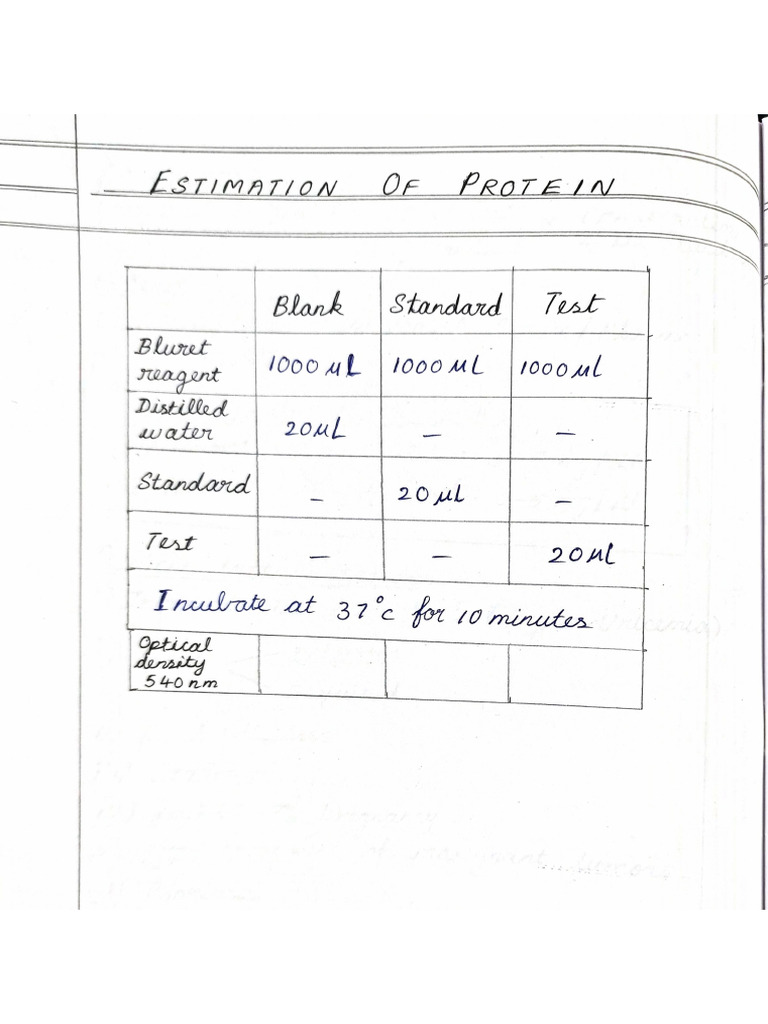 Estimation of Protein | PDF