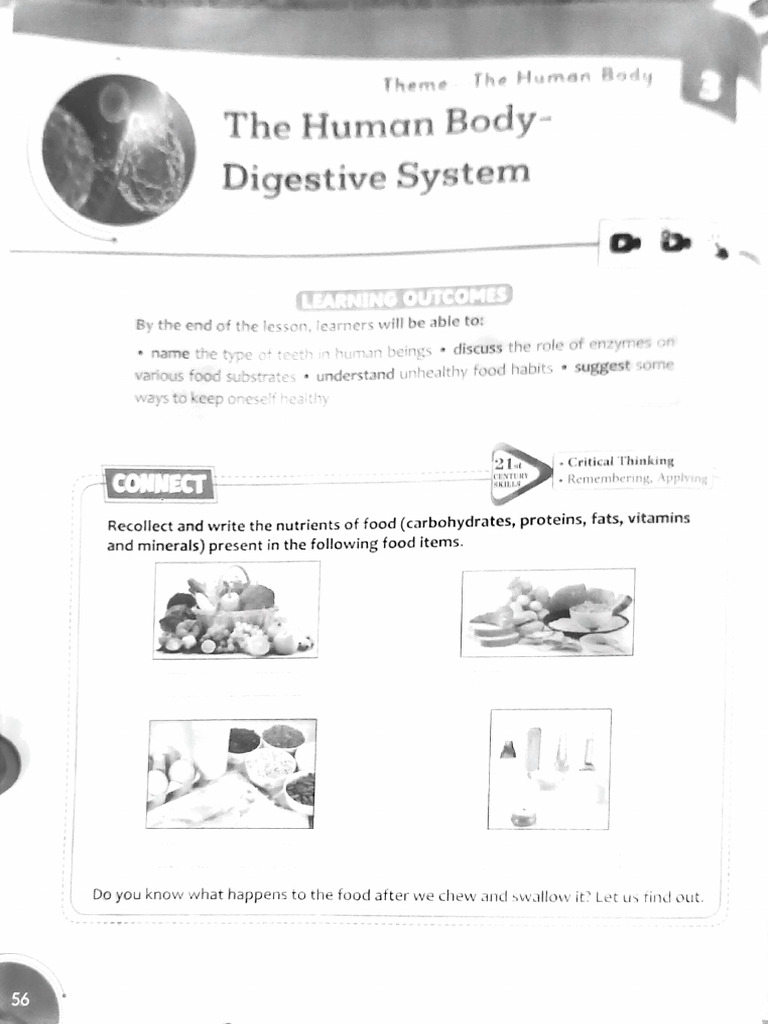 Biology digestive system | PDF