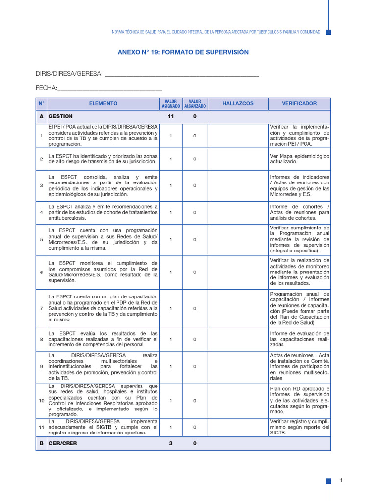 ANEXO 19. Formato de Supervisión 2023 | PDF