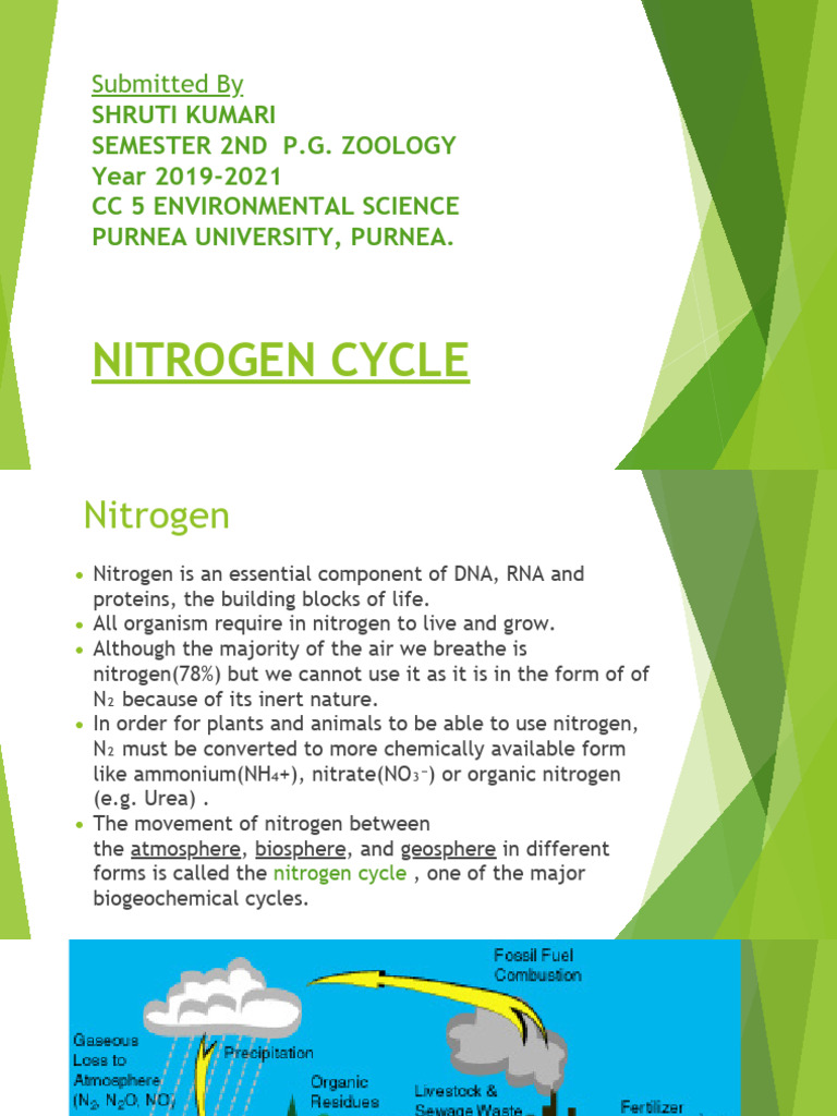 Nitrogen Cycle | PDF | Nature | Systems Ecology