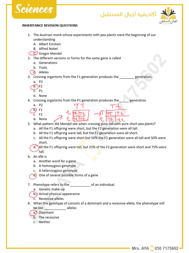 Inheritance Revision Questions | PDF | Dominance (Genetics) | Genotype
