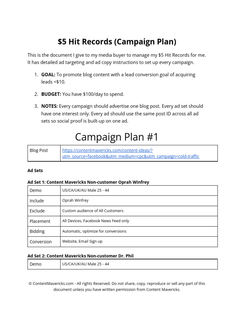$5 Hit Records (Campaign Plan) | PDF