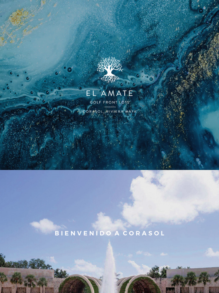 El Amate ESP B | PDF