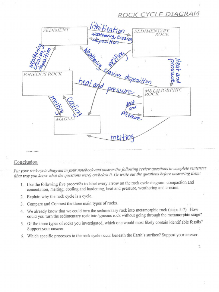 Natural Science Grade 9 Term 4 Exam Paper 2023 | PDF