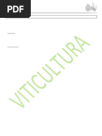 Morfología de Frutos: Silicua y Cipsela | PDF | Fruta | Morfología Vegetal