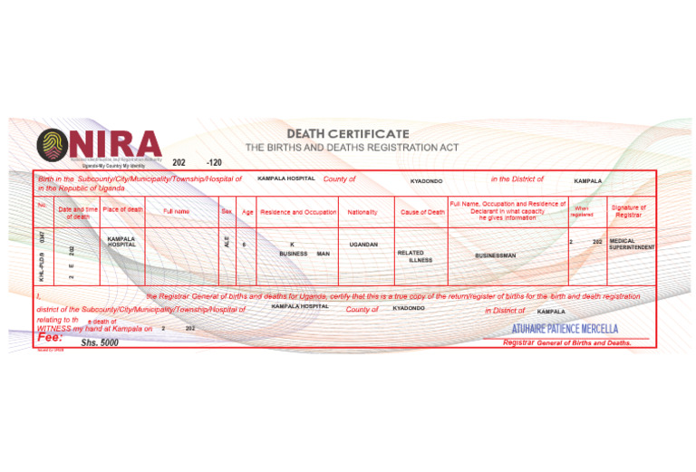 Natale Florence Death Certificate 2024 | PDF | Government And Personhood