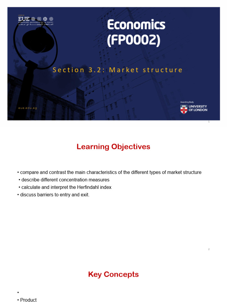 Section 3.2 Market Structure | PDF | Profit (Economics) | Monopoly