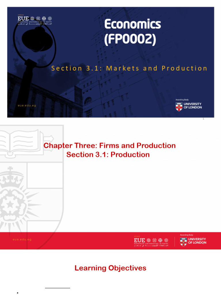 Section 3.1 Production | PDF | Production Function | Profit (Economics)