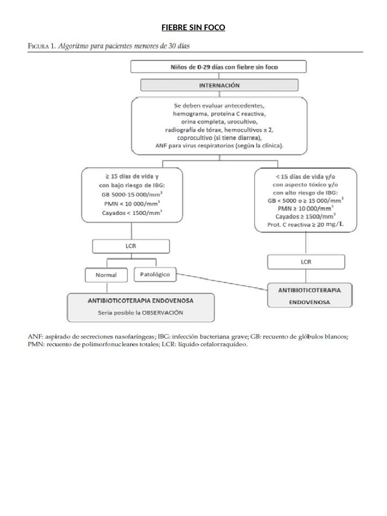FIEBRE SIN FOCO | PDF