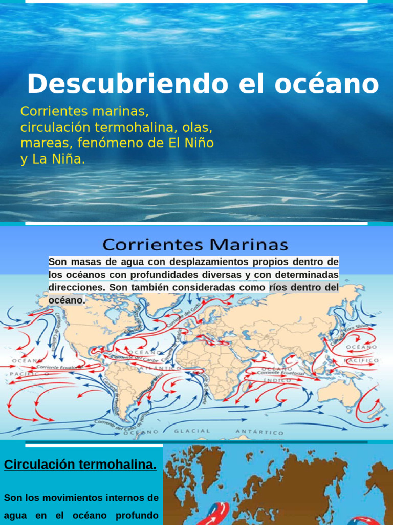 Descubriendo El Océano | PDF | Costa | Mar