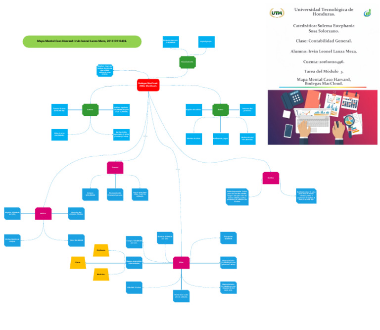 Plan de Negocio Bodega MacCloud | PDF | Vino | Uva