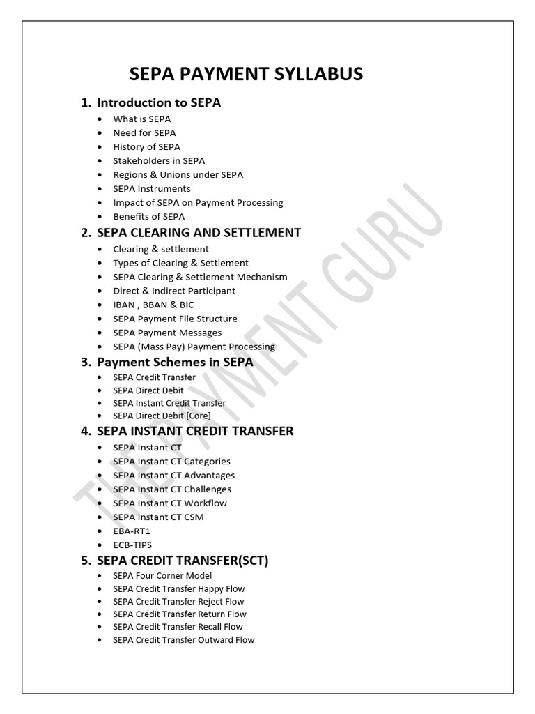 SEPA Payments Stllabus 1729797419 | PDF | Computers