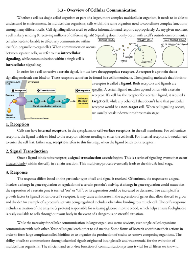 Reading - 3.3 - Overview of Cellular Communication | PDF | Cell ...