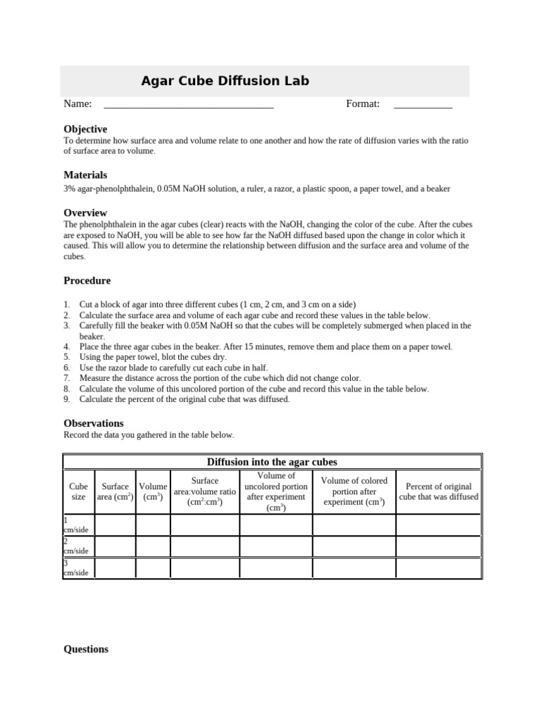 Cell Size Diffusion Lab | PDF | Volume | Area