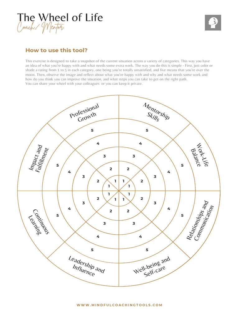 CoachMentor The Wheel of Life | PDF