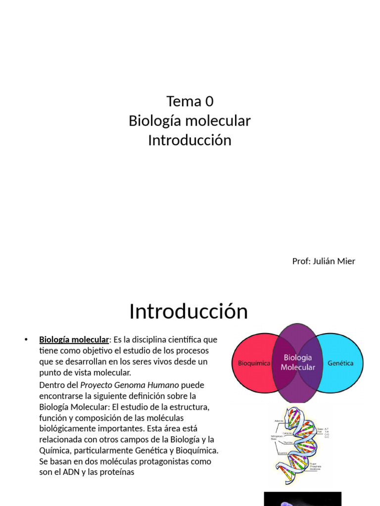 Tema 0 BMC | PDF