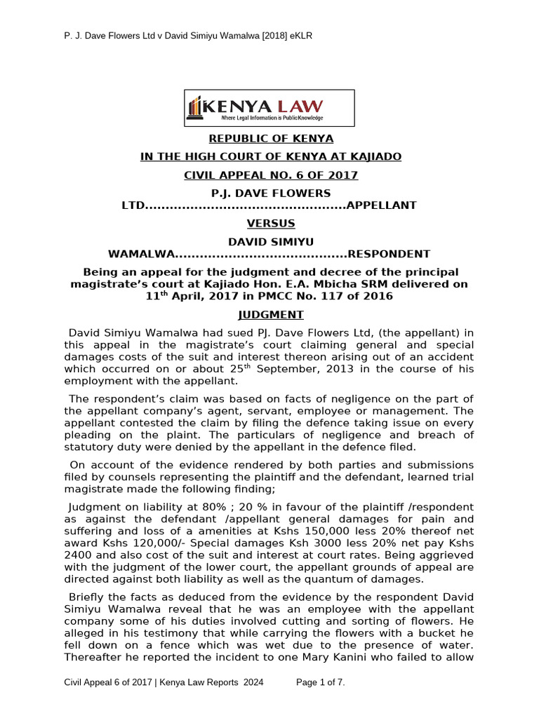 Civil Appeal 6 of 2017 | PDF | Negligence | Legal Liability