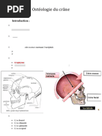 Anatomie du Labyrinthe Ethmoïdal | PDF | Système squelettique | Tête et ...