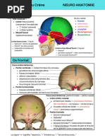 6 - Anatomie Des Os de La Face | PDF | Anatomie humaine | Appareil ...