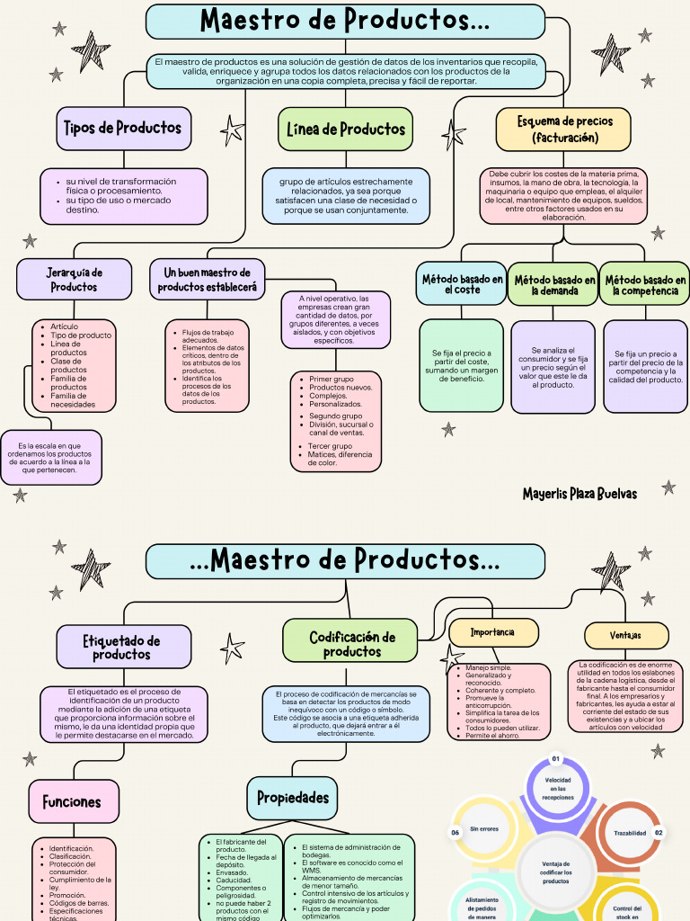 Mapa Conceptual. Maestro de Productos | PDF