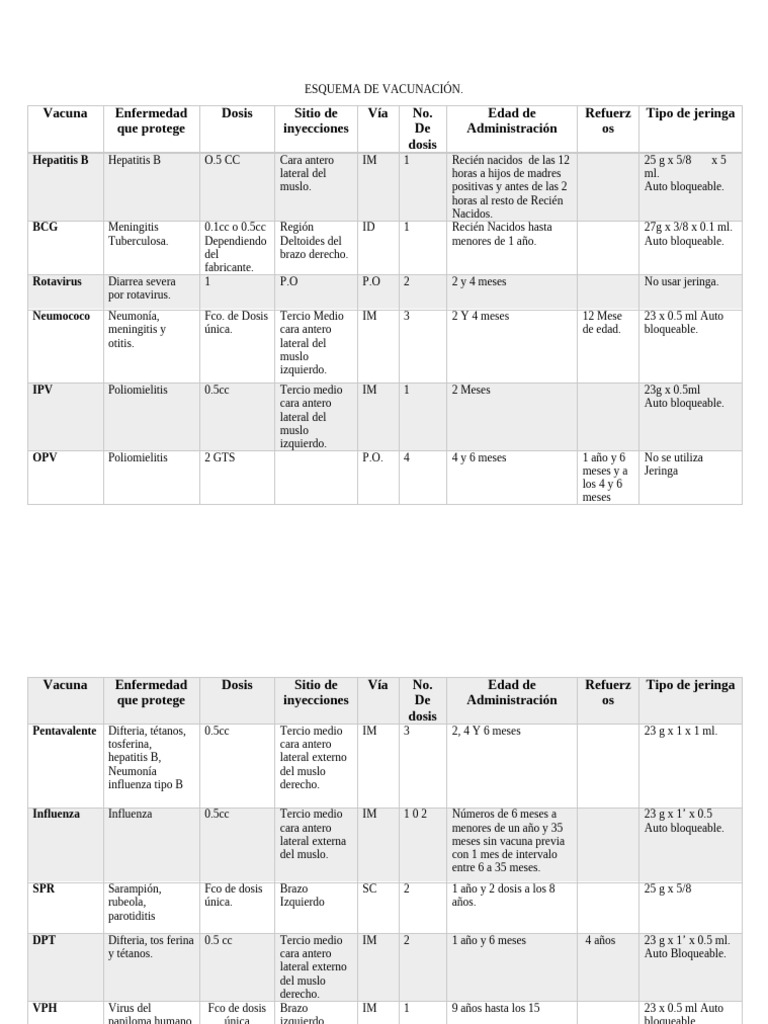 Esquema de Vacunación Key | PDF | Salud infantil | Virología