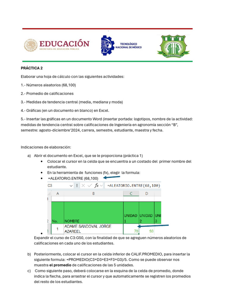Práctica 2-Tics | PDF | Hoja de cálculo | Microsoft Excel