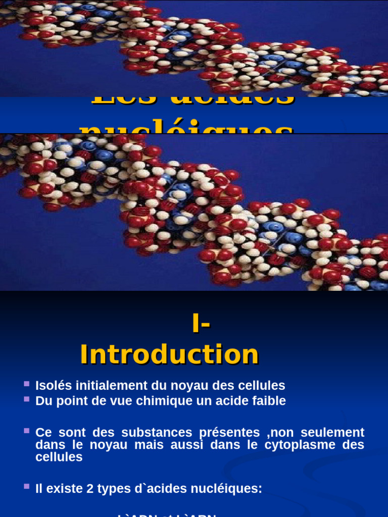 1-Acides - Nucleiques Génétique | PDF | Répertoire national des ...