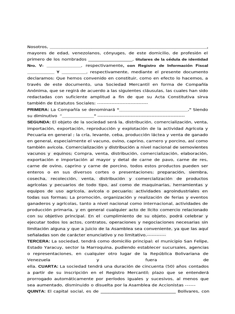Modelo Acta Constitutiva | PDF | Compartir (Finanzas) | Venezuela