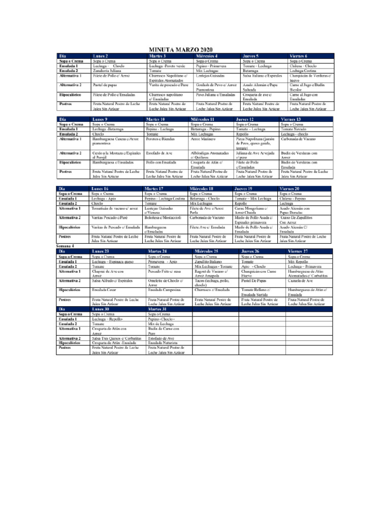 Formato Minuta 1 | PDF