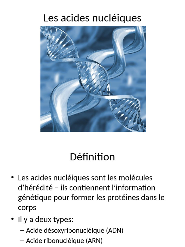 1' Acides - Nucleiques | PDF