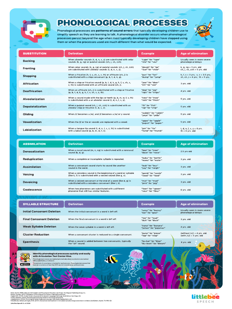 Phonological Processes Poster 24x36 | PDF