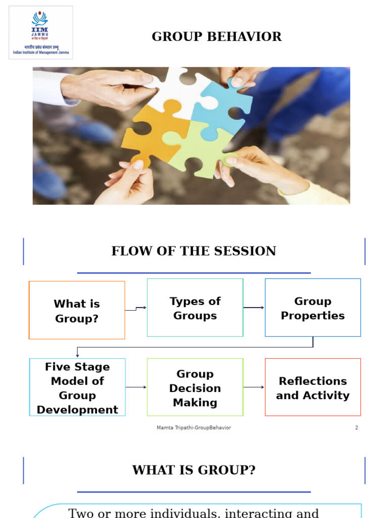 10 Group Behavior | PDF | Group Cohesiveness | Social Psychology