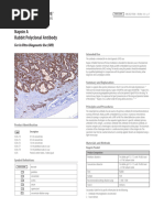 Ventana IHC Staining Protocol Guide | PDF