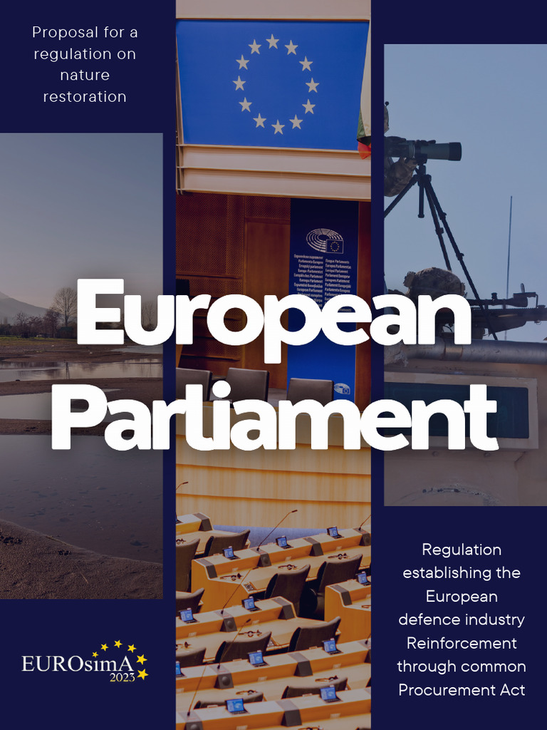 European Parliament Study Guide (FINAL) | PDF | World Politics ...