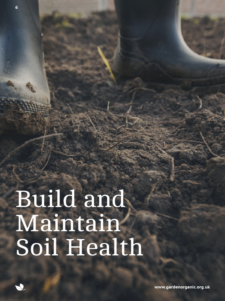 Garden Organic POG Revised Apr 19 Soil Health | PDF | Manure | Compost