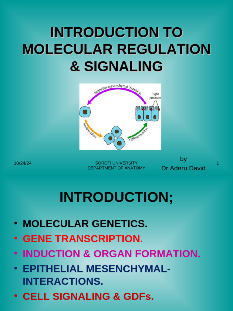 Intro To Molecular Regulation and Signaling 2024 2025 | PDF | Cell ...