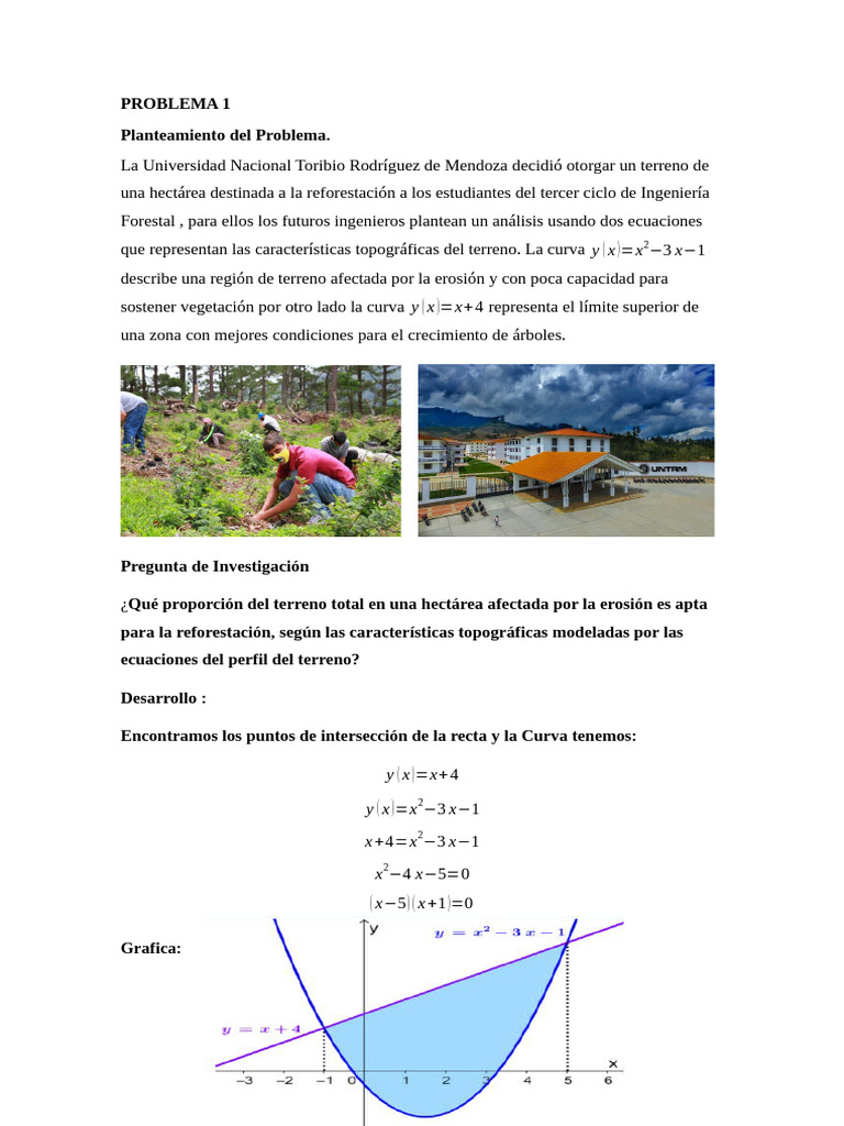 Problematica 1 | PDF | Integral